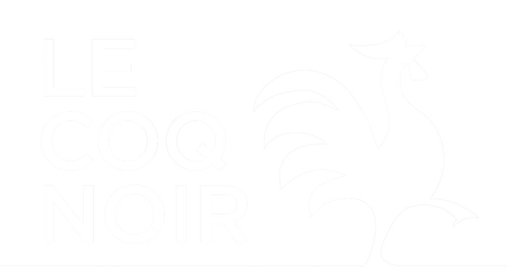 logo quadri - INEO VideoCom